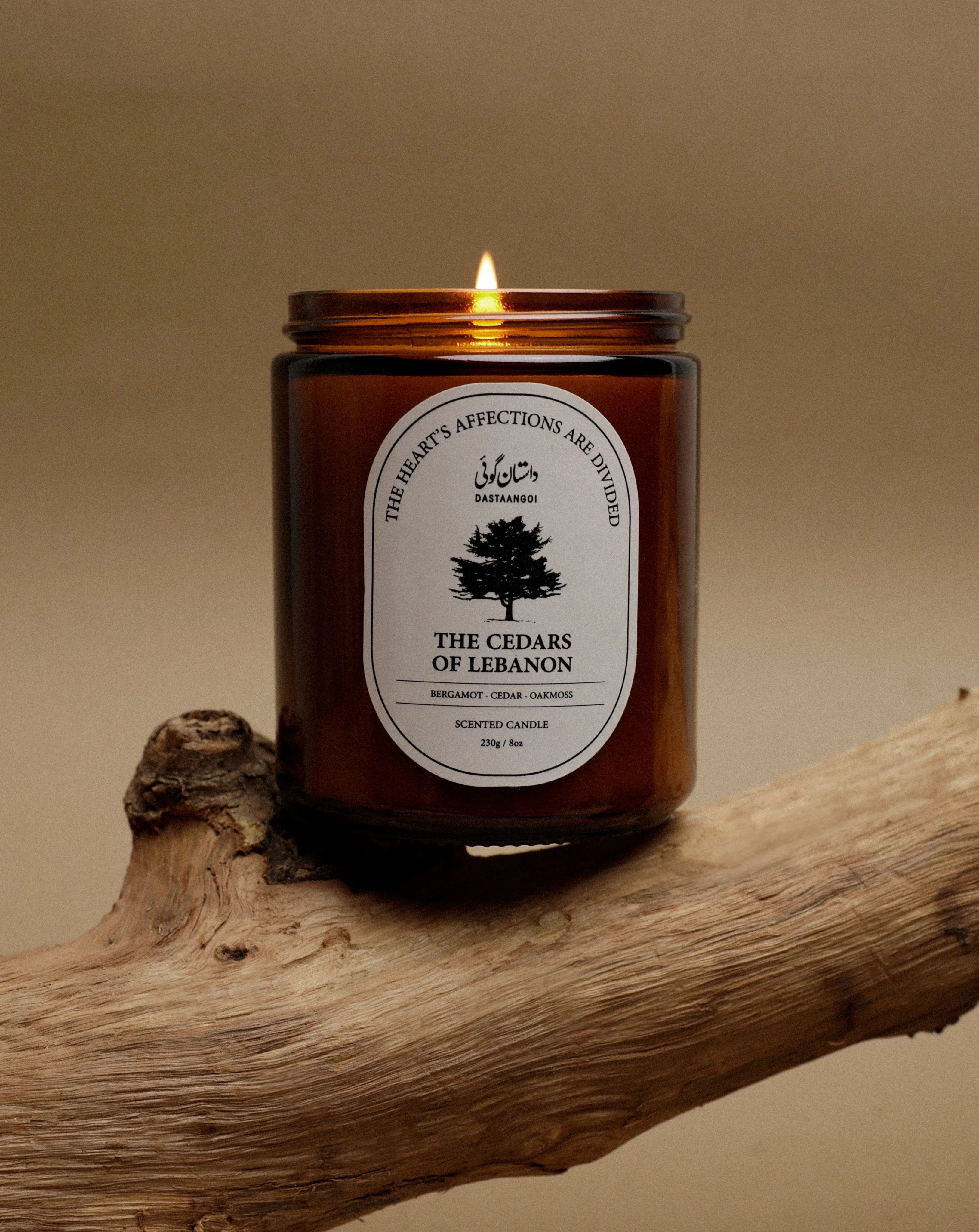 The Cedars of Lebanon Candle – o'de rose